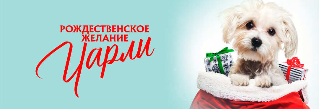 Рождественские фильмы смотреть онлайн подборку